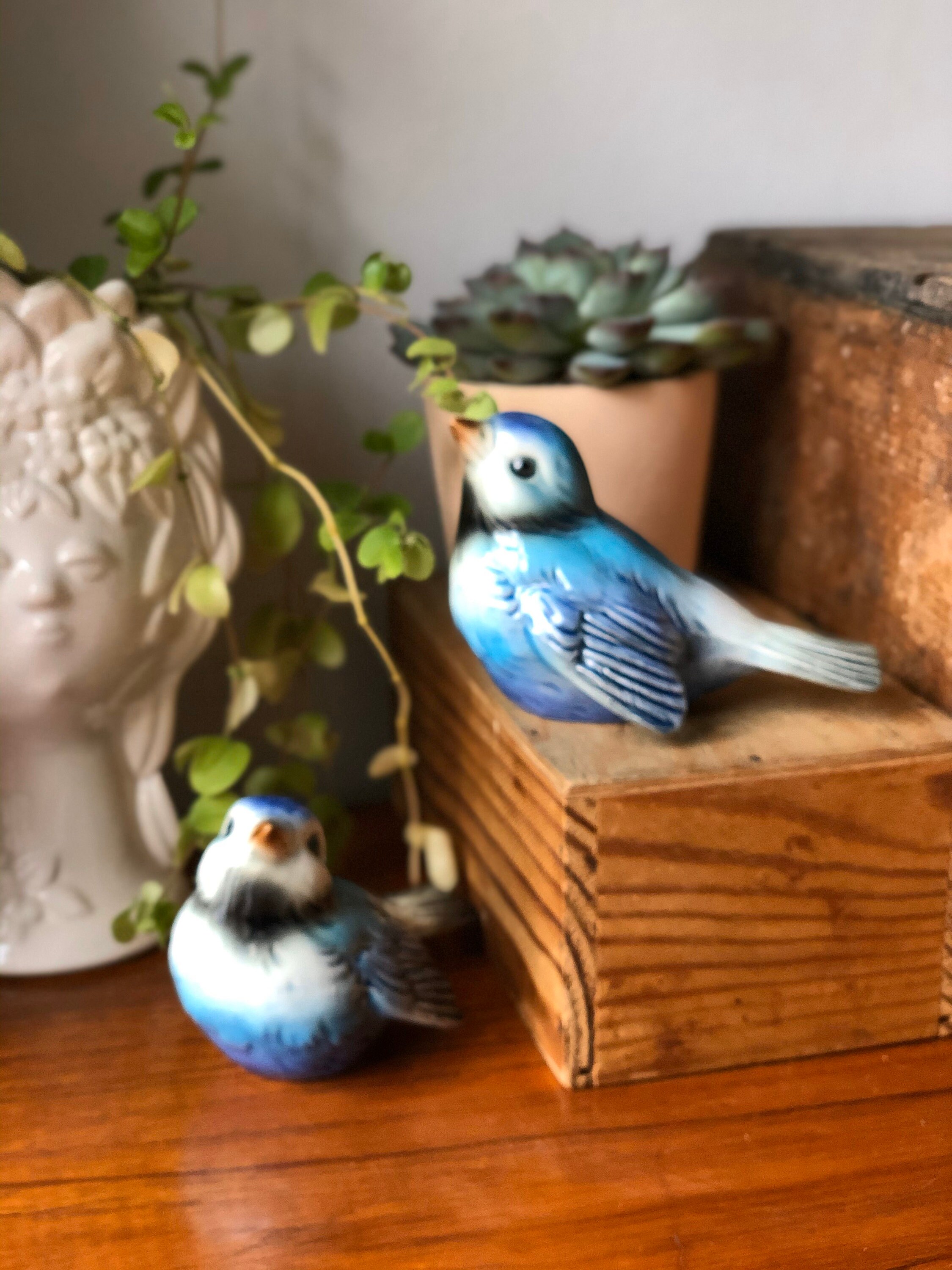 Pair Goebel ceramics turquoise bird figurines West Germany ceramics ...