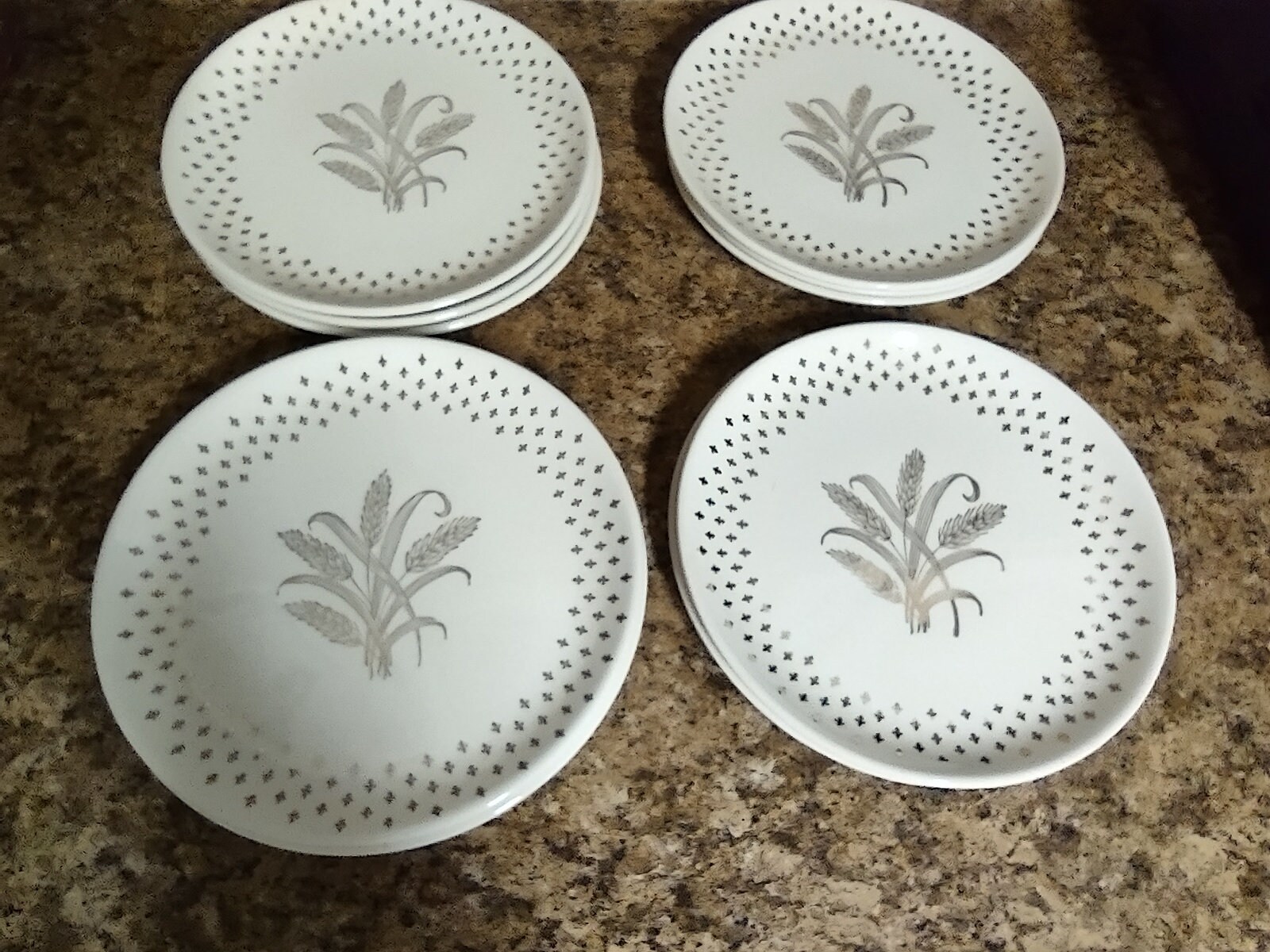 Golden Wheat Pattern Plates,11 Dinner Plates,midcentury,homer Laughlin ...