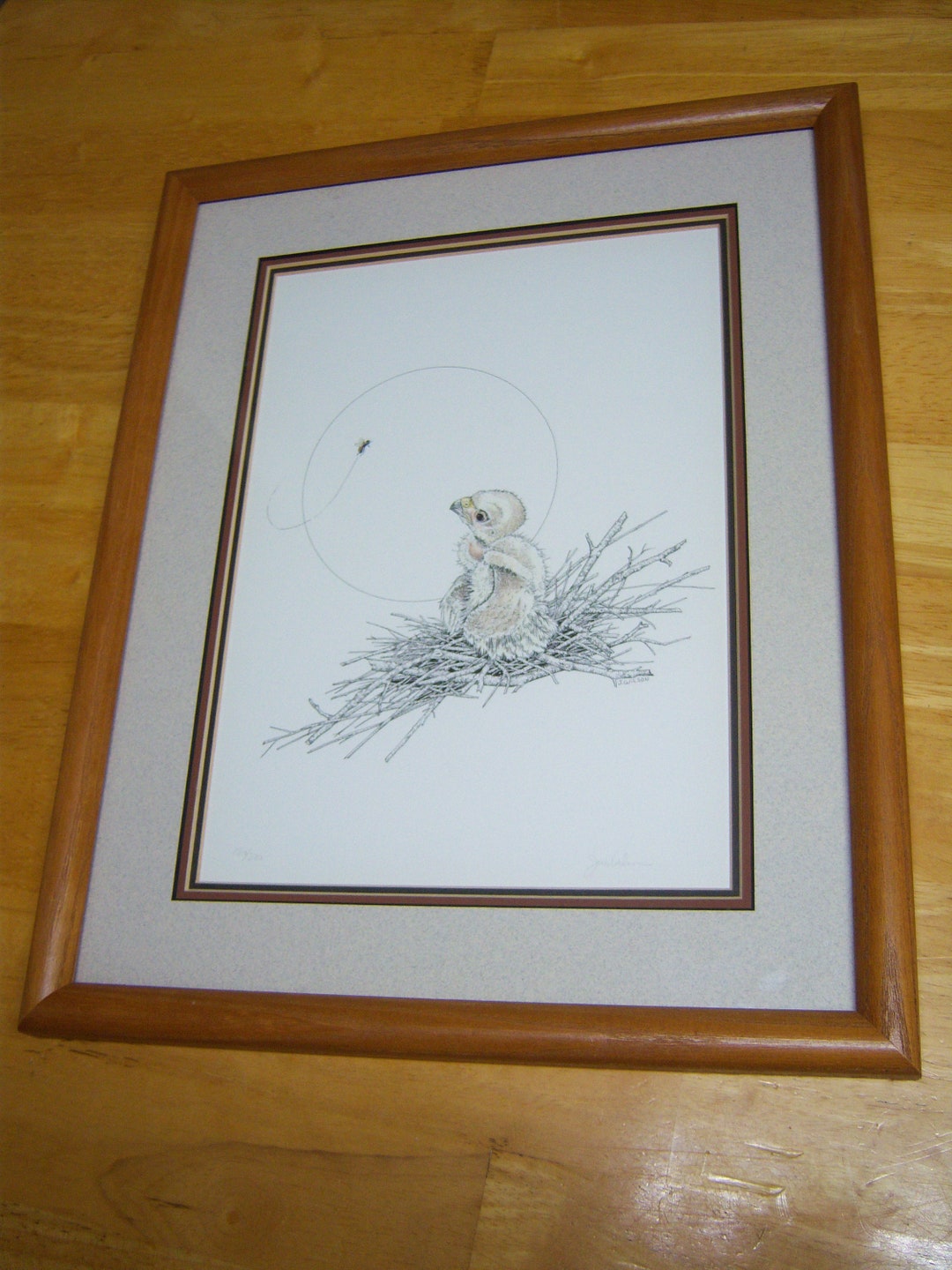 Jim Wilson Print,florida Wildlife Artist,professionally Framed,baby ...