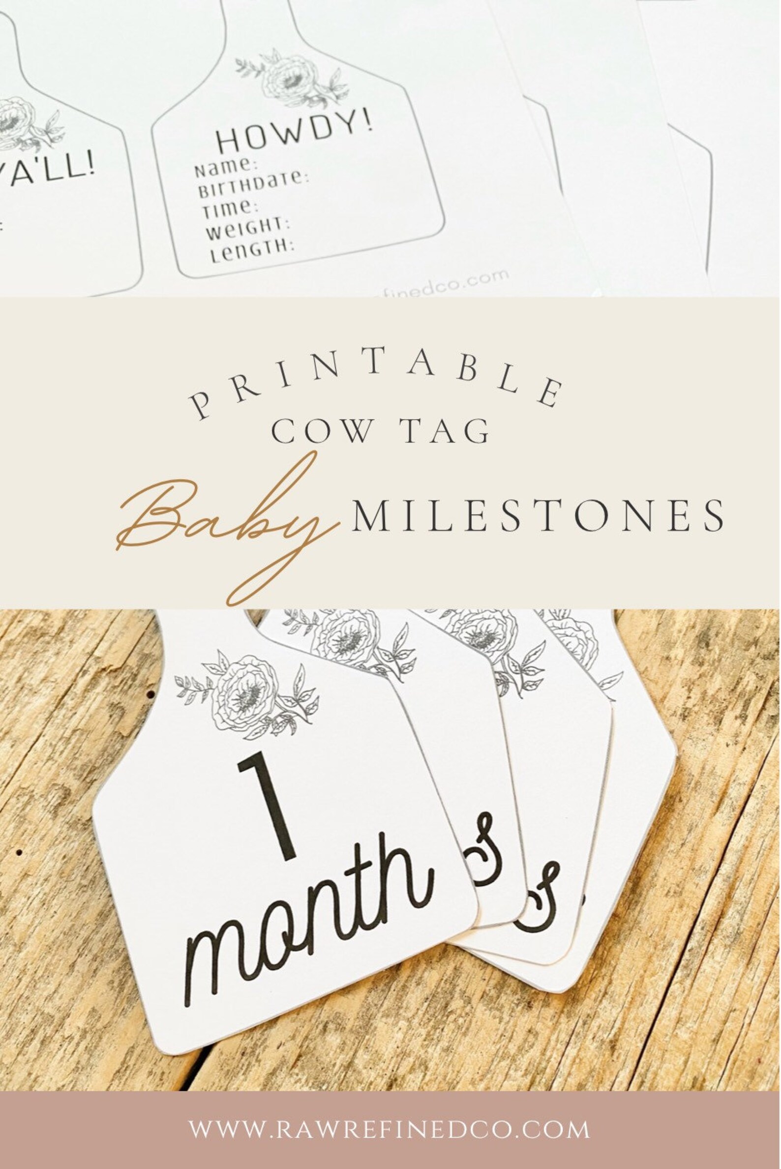 Baby Monthly Milestone DIY Digital Download Baby Milestone - Etsy