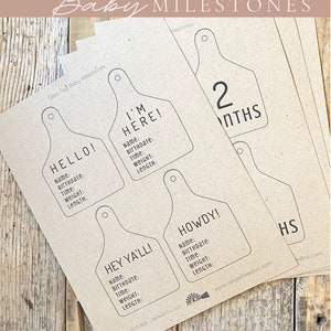 Baby Monthly Milestone | DIY Digital Download | Baby Milestone Cards ...