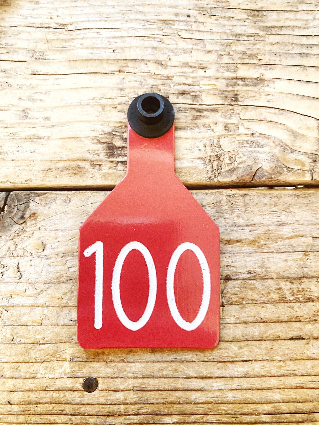 Custom Engraved Ritchey Calf medium Ear Tags - Etsy