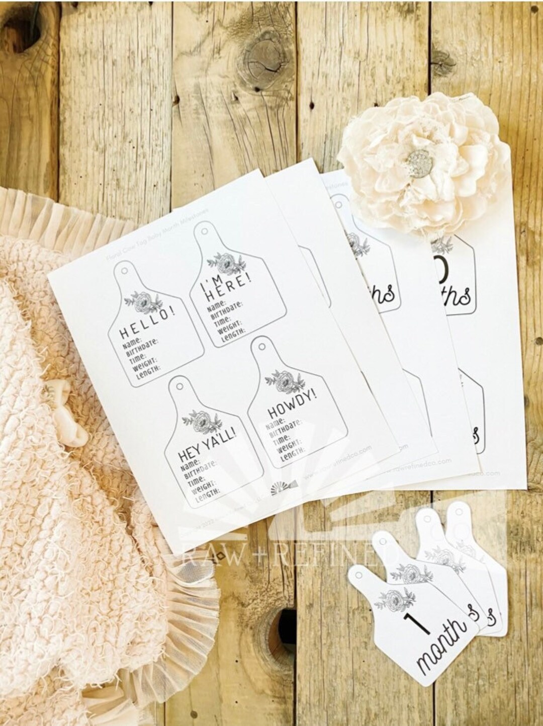 Baby Monthly Milestone DIY Digital Download Baby Milestone Cards ...