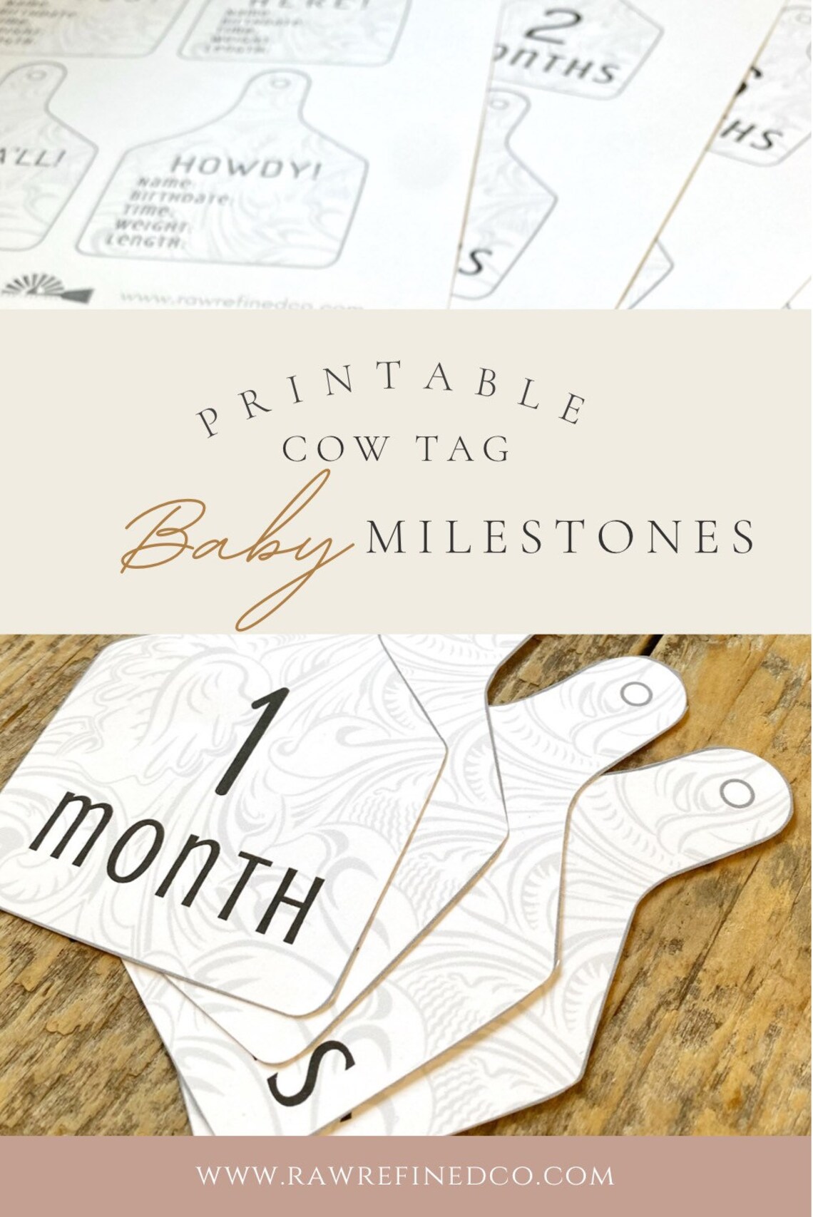 Baby Monthly Milestone DIY Digital Download Baby Milestone - Etsy