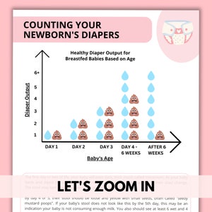 Breastfeeding Education Diaper Output Printable, Breastfeeding PDF ...