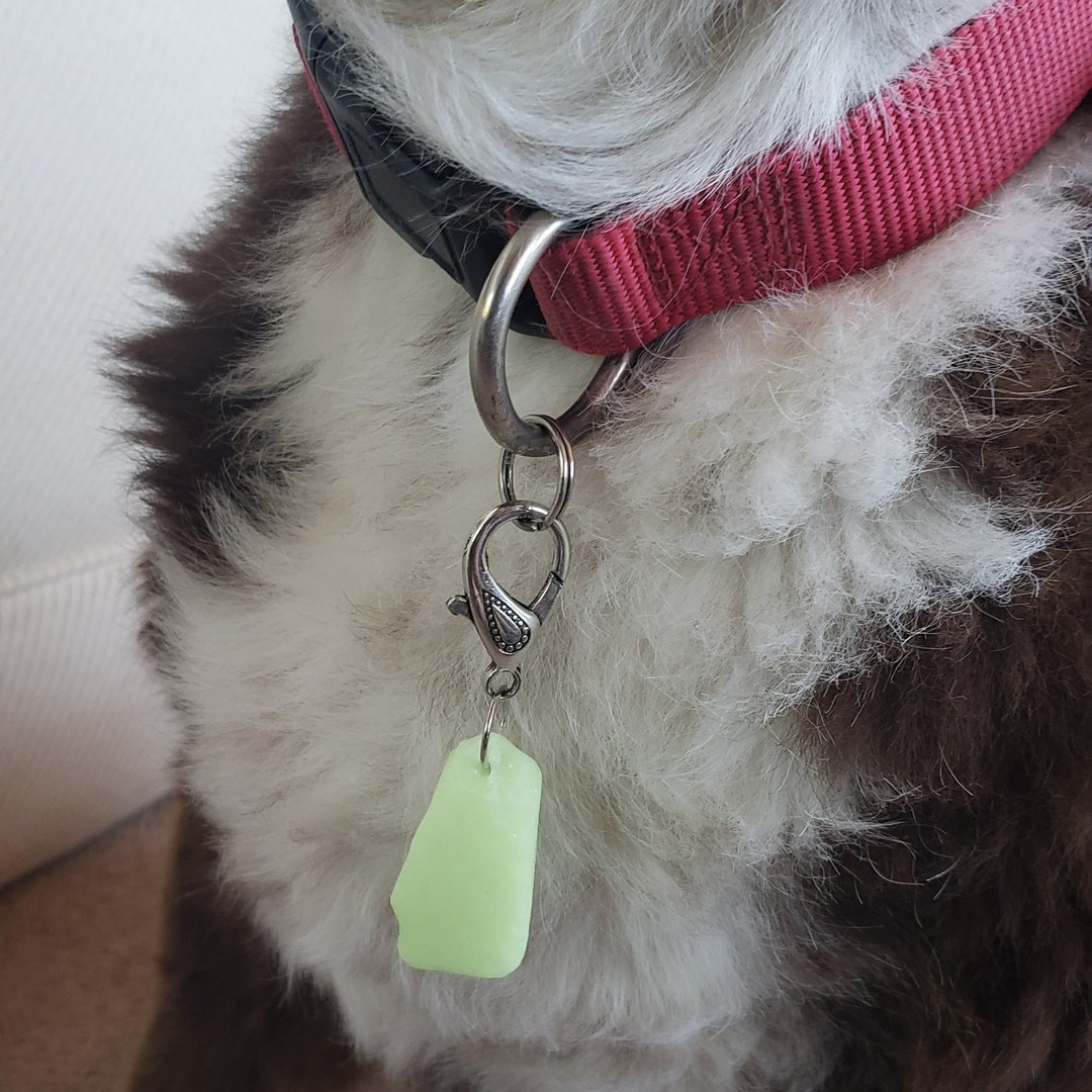 Glow in the Dark Collar Charm/dog Collar Crystal Charm/pet Crystal ...
