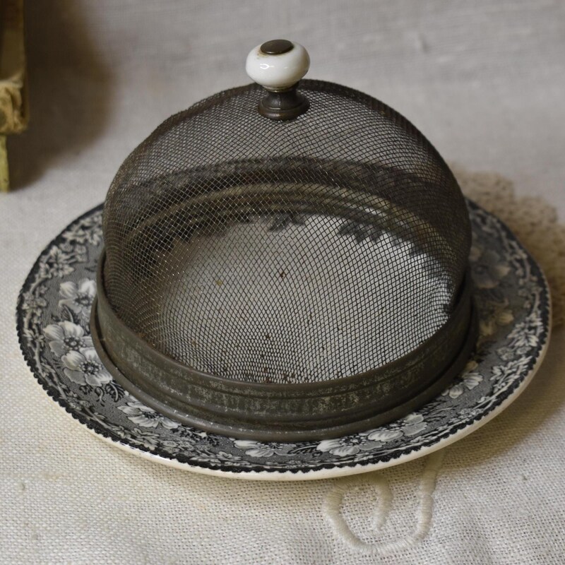 Plate and Cloche - Etsy