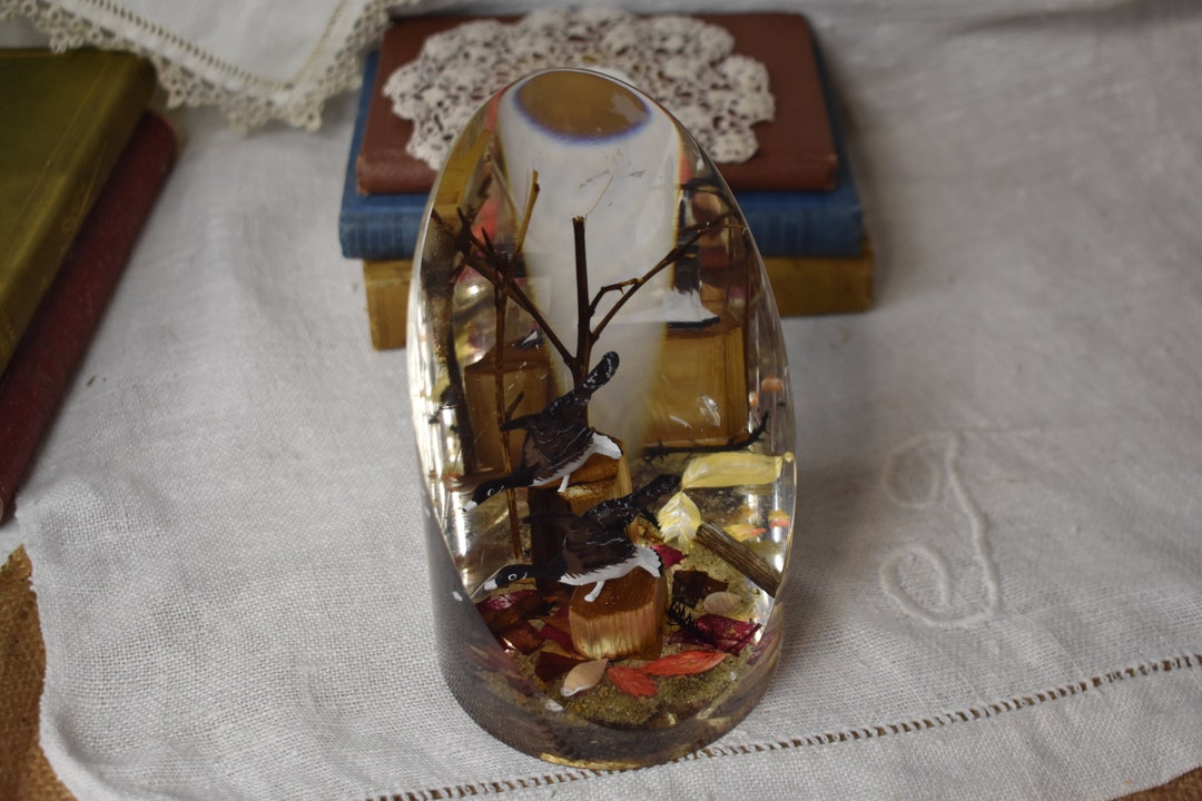 Vintage Duck Lucite Paper Weight / Fall Outdoor Duck Scene Paper Weight ...