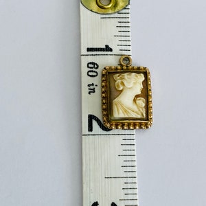 Vintage Victorian Style R.F. Simmons Carved Shell Cameo in Gold Filled ...