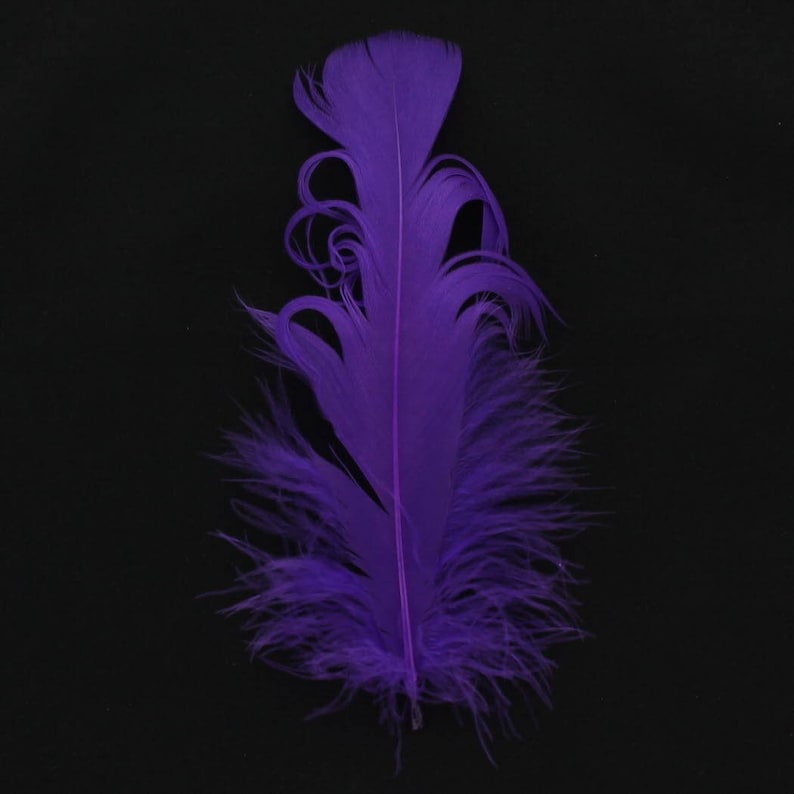 Curly Nagori Goose Feathers - Etsy