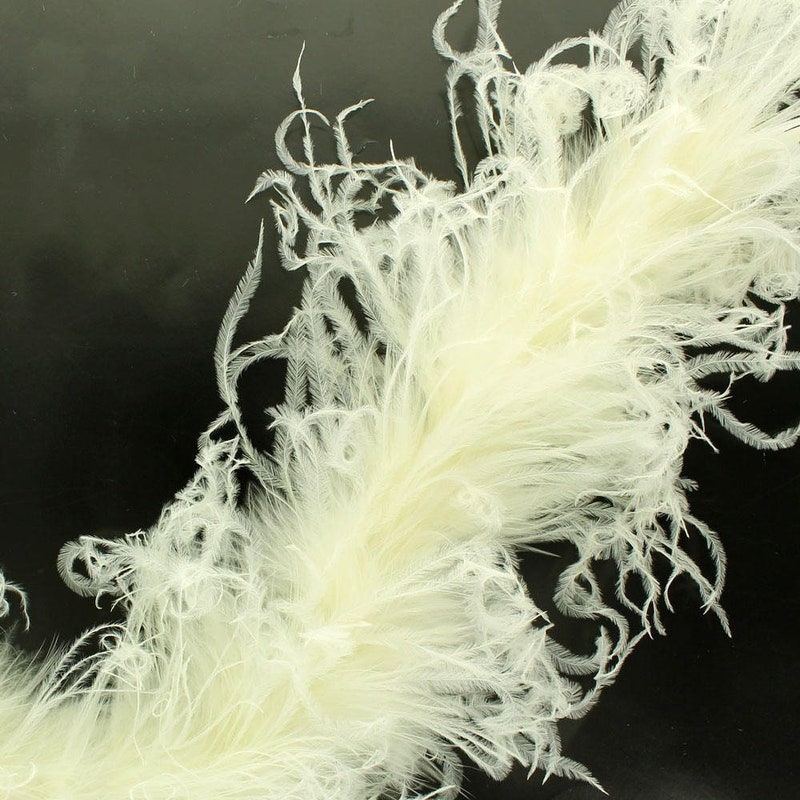 Curly Feathers White - Etsy