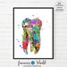 Human Tooth PRINT Human PRINTABLE Watercolor Tooth Medical Art Dental ...