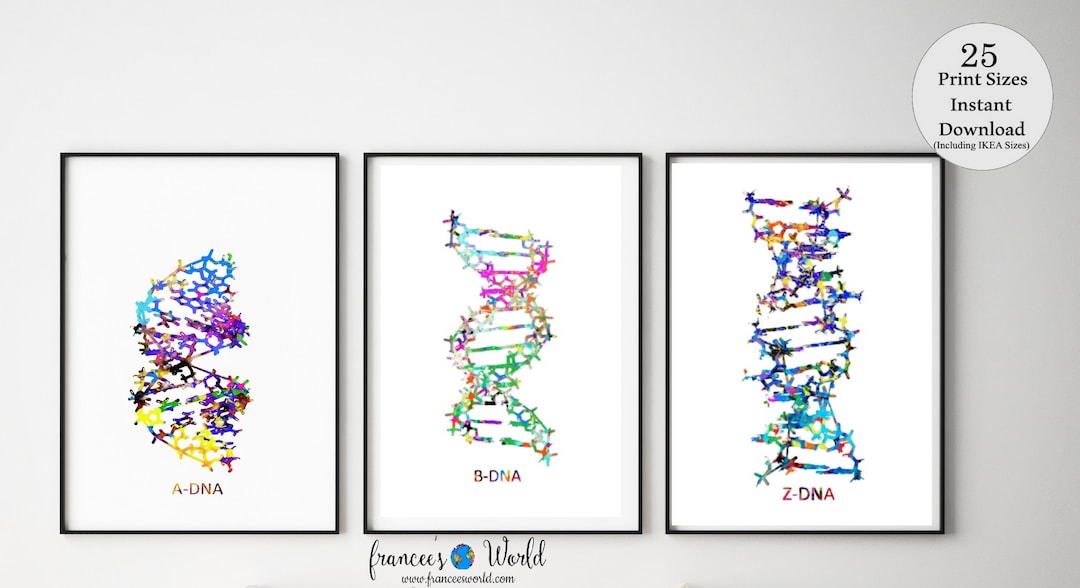 DNA Print DNA A B Z Dna Art PRINTABLE Medical Art Doctor Gift Science ...