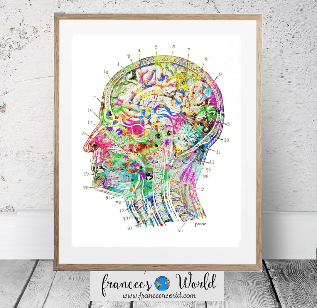Vintage Brain Art, Anatomy Print, Brain Printable, Medical Dorm Art ...