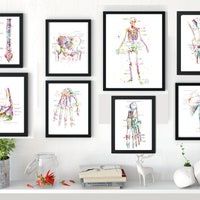Medical Art - Etsy
