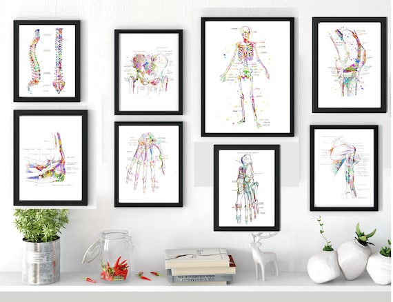 Medical Art Medical Printable Set of 8 Foot Print Hand - Etsy