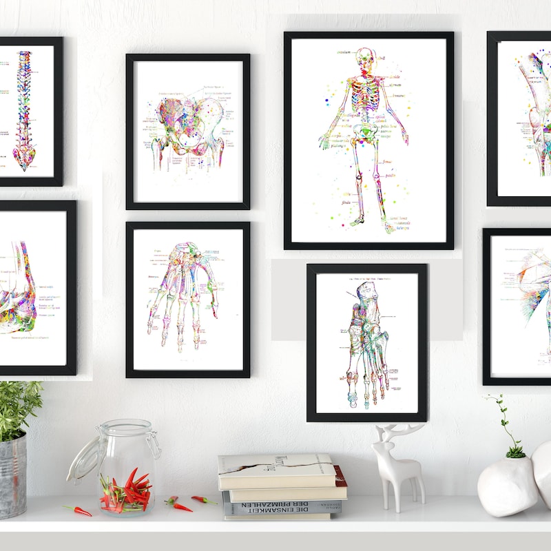 Medical Art - Etsy