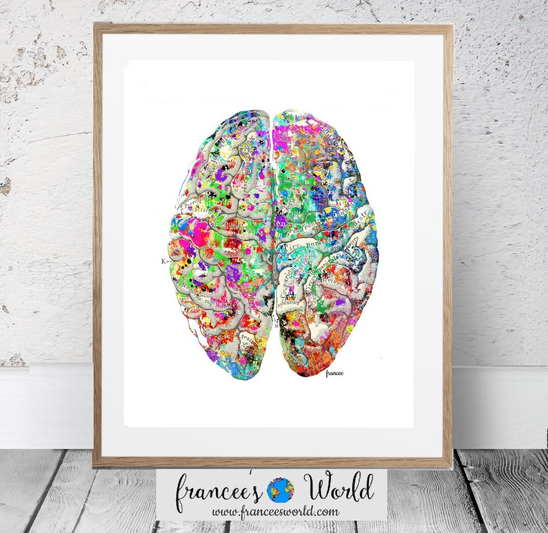 Brain Art, Vintage Anatomy Print, Brain Printable, Brian,anatomy Print ...