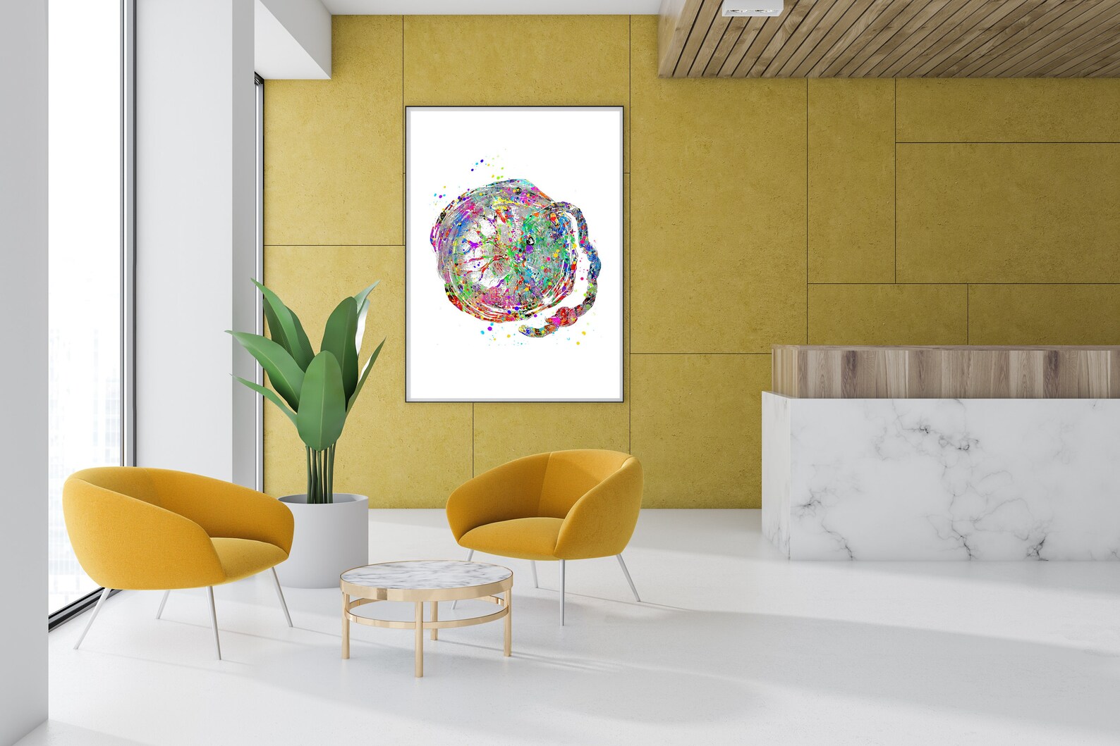 Placenta Print Womb Pregnancy Anatomy Gynecology Obstetrician Nursing ...