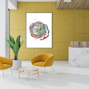 Placenta Watercolor Print, Gynecology Obstetrics Art (digital Download ...
