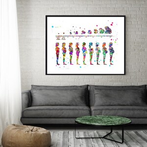 Pregnancy Stages Print Medical Art Fetal Development Poster Fetus ...