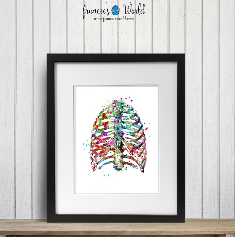 Rib cage Watercolor PRINTABLE Medical Art Skeleton Anatomy | Etsy