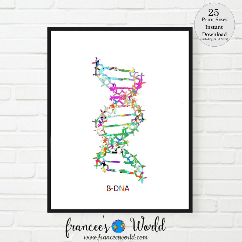 DNA Print DNA A B Z Dna Art PRINTABLE Medical Art Doctor Gift - Etsy