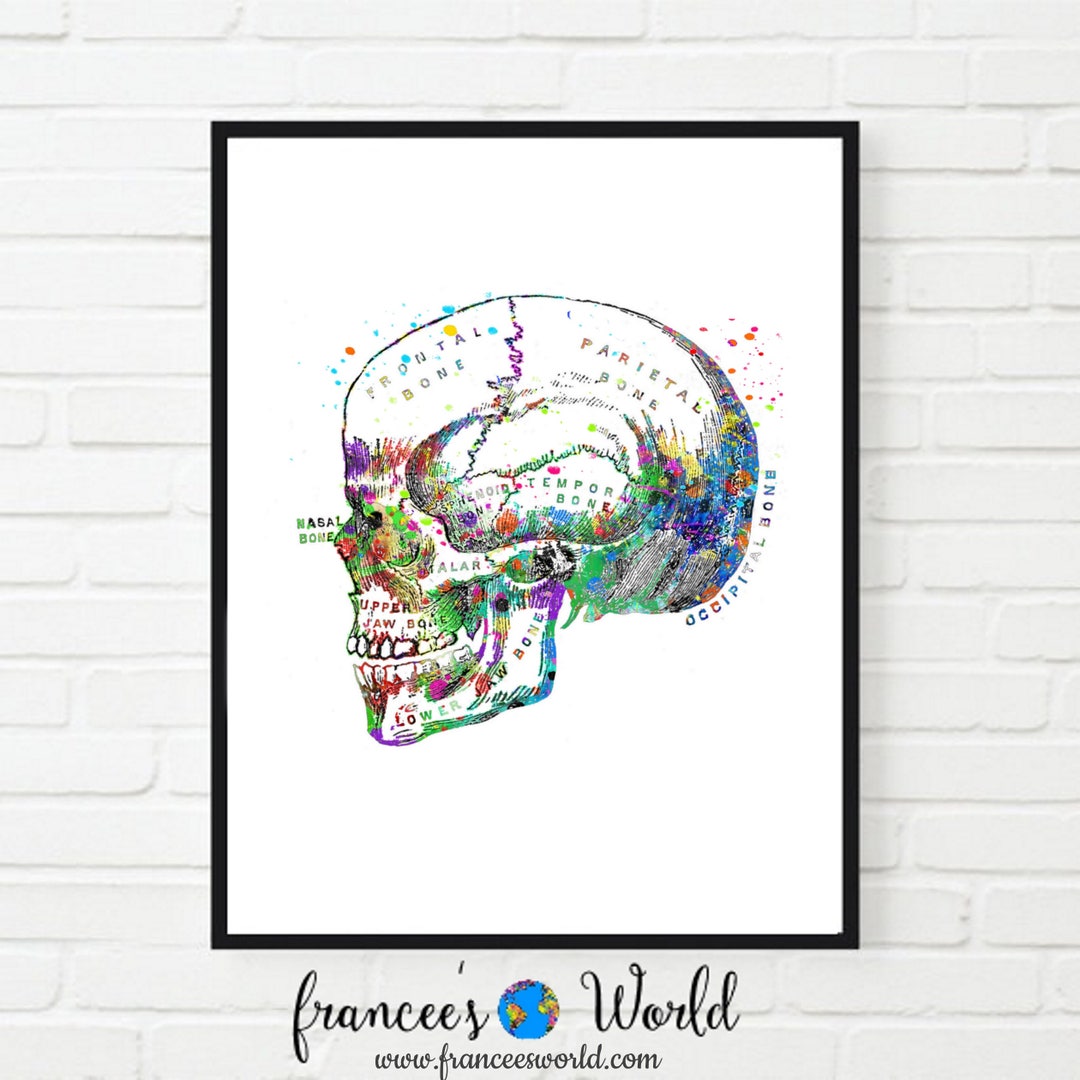 Skull Tooth PRINTABLE Watercolor Vintage Human Skull Poster Anatomy Art ...