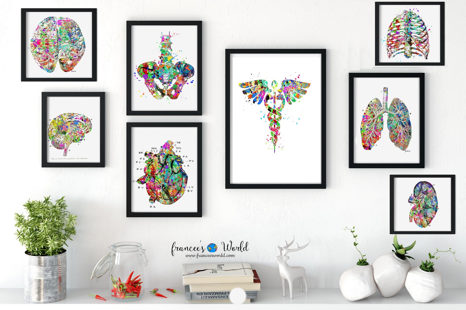 Medical Art Medical Printable Set of 8 Heart Print Lung | Etsy