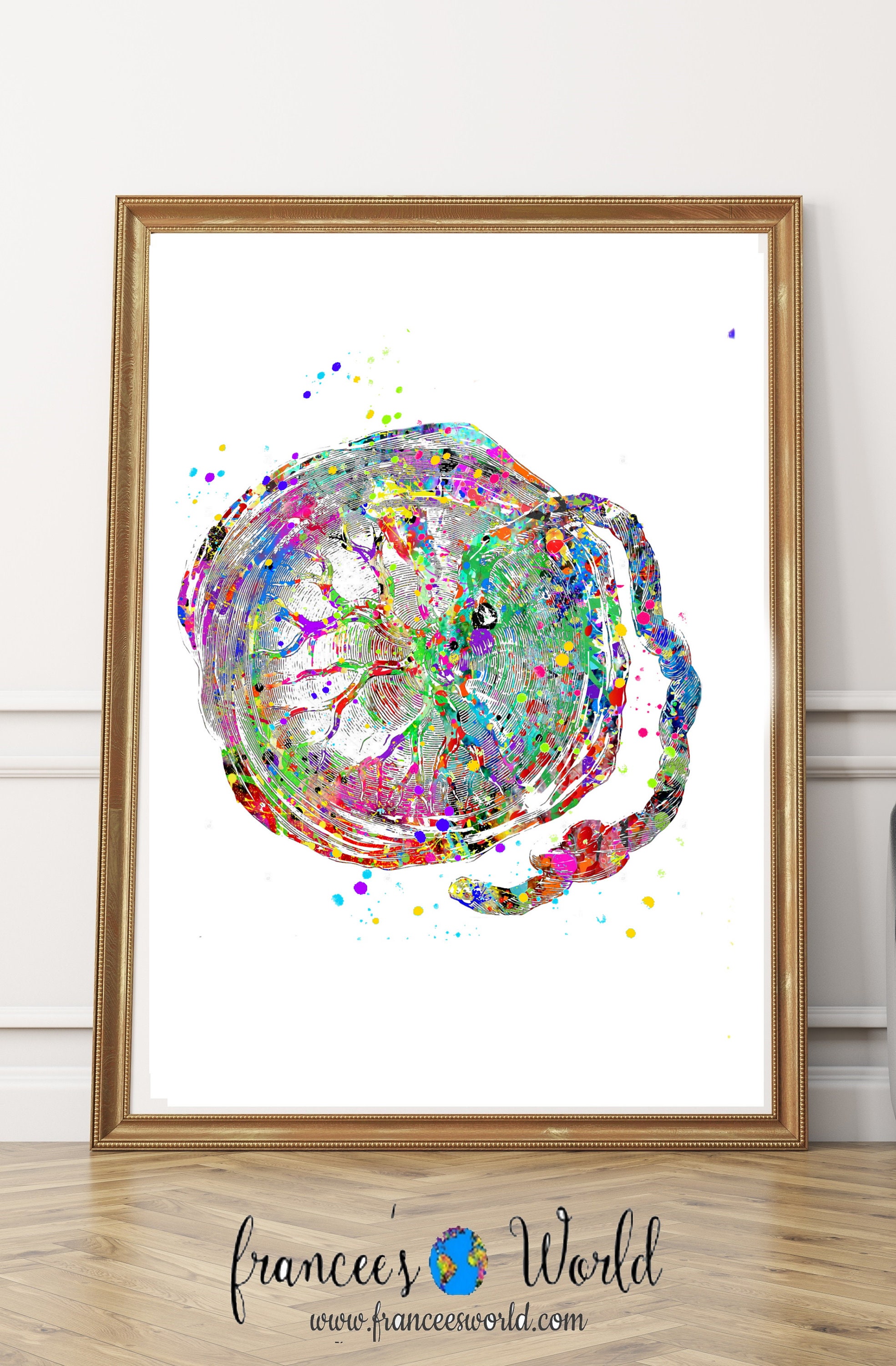 Placenta Print Womb Pregnancy Anatomy Gynecology Obstetrician - Etsy