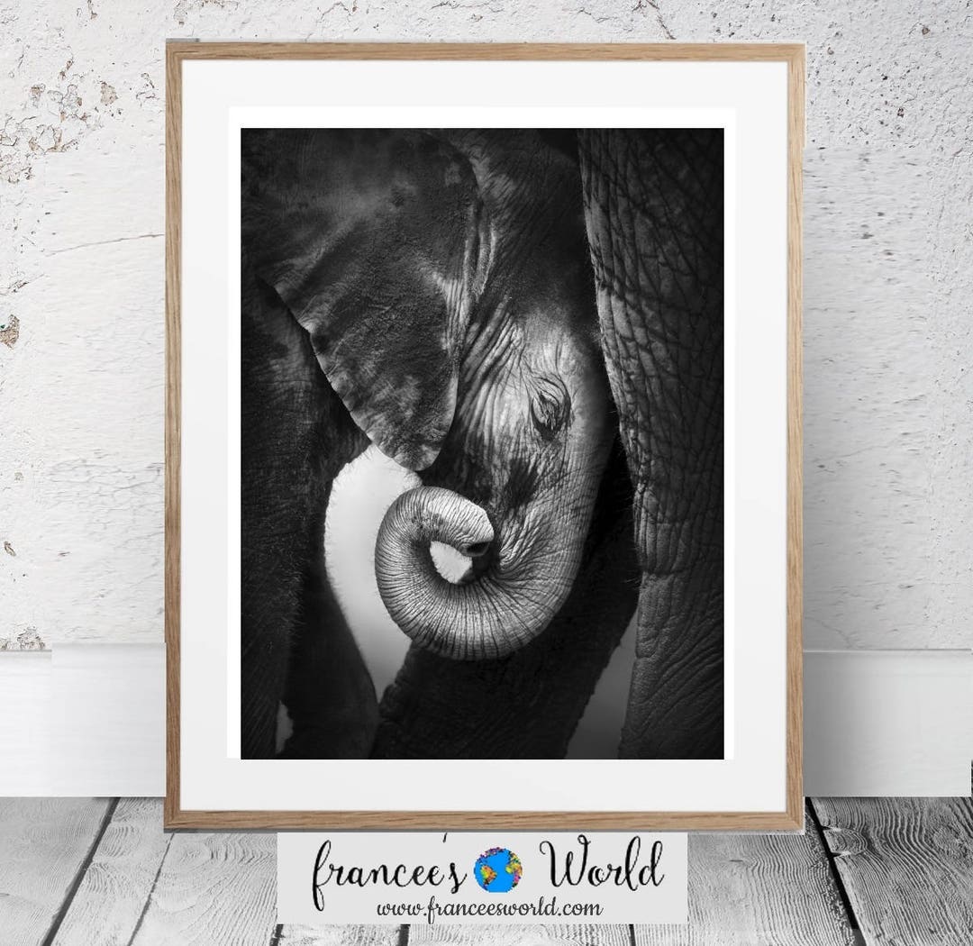 Baby Elephant Print,baby Animal Art,baby Elephant Printable,elephant ...