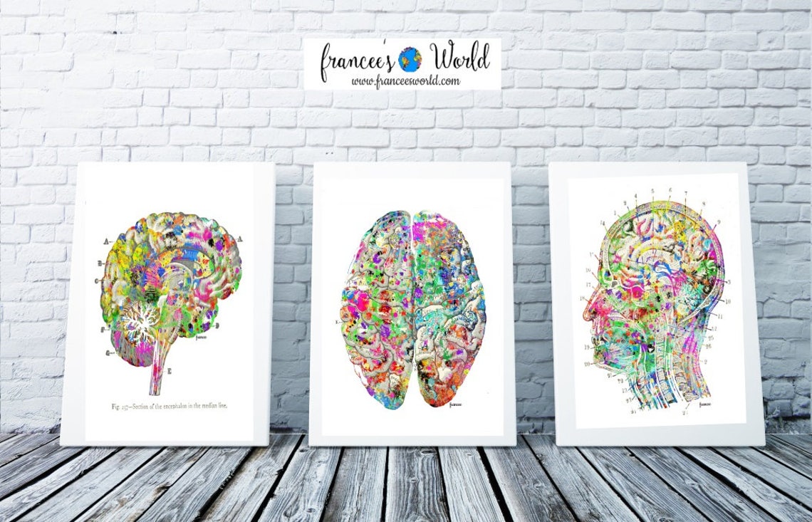 Vintage Brain Art Anatomy Print Brain Printable Medical | Etsy
