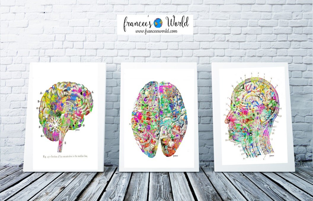 Vintage Brain Art Anatomy Print Brain Printable Medical | Etsy