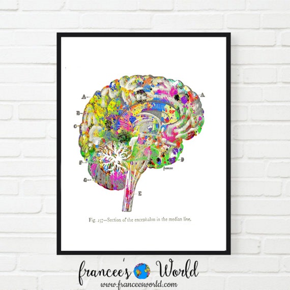 Vintage Brain Anatomy Watercolor Printable, Print Medical Wall Art ...