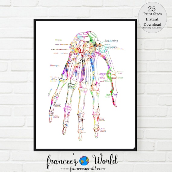 Hand Print medical art vintage medical art PRINTABLE Anatomy hand bones ...