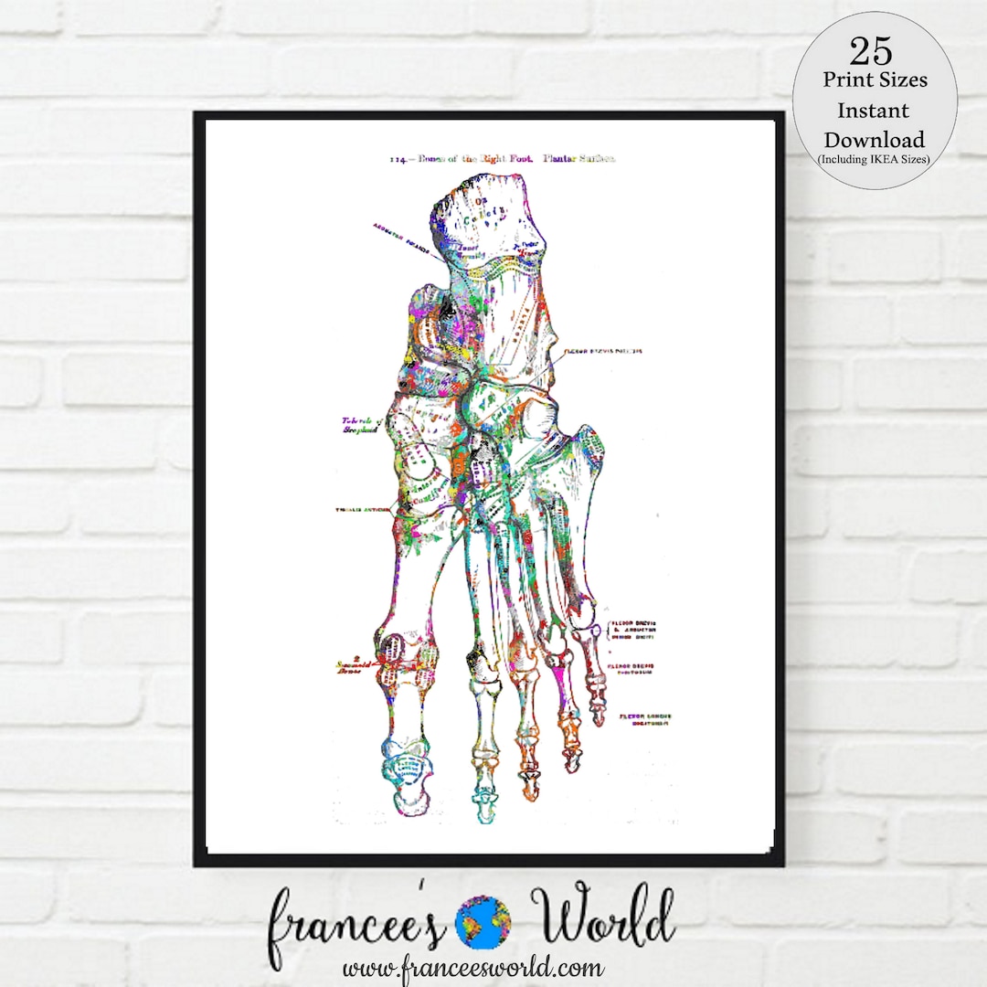 Foot Print Medical Art Vintage Medical Art PRINTABLE Anatomy Foot Bones ...