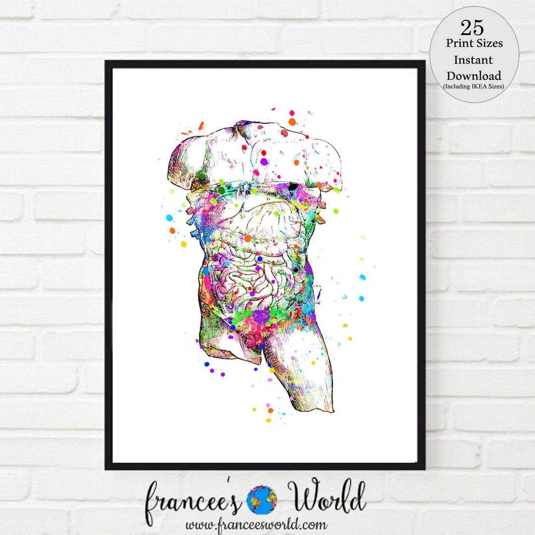 Gastrointestinal Tract Print Anatomy Art Watercolor PRINTABLE Human ...