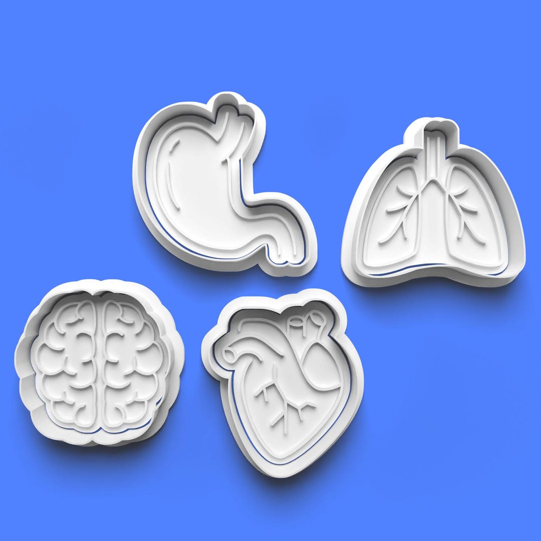 Anatomical Body Organs Cookie Cutter Set: 3D Printed Baking Tool - Etsy