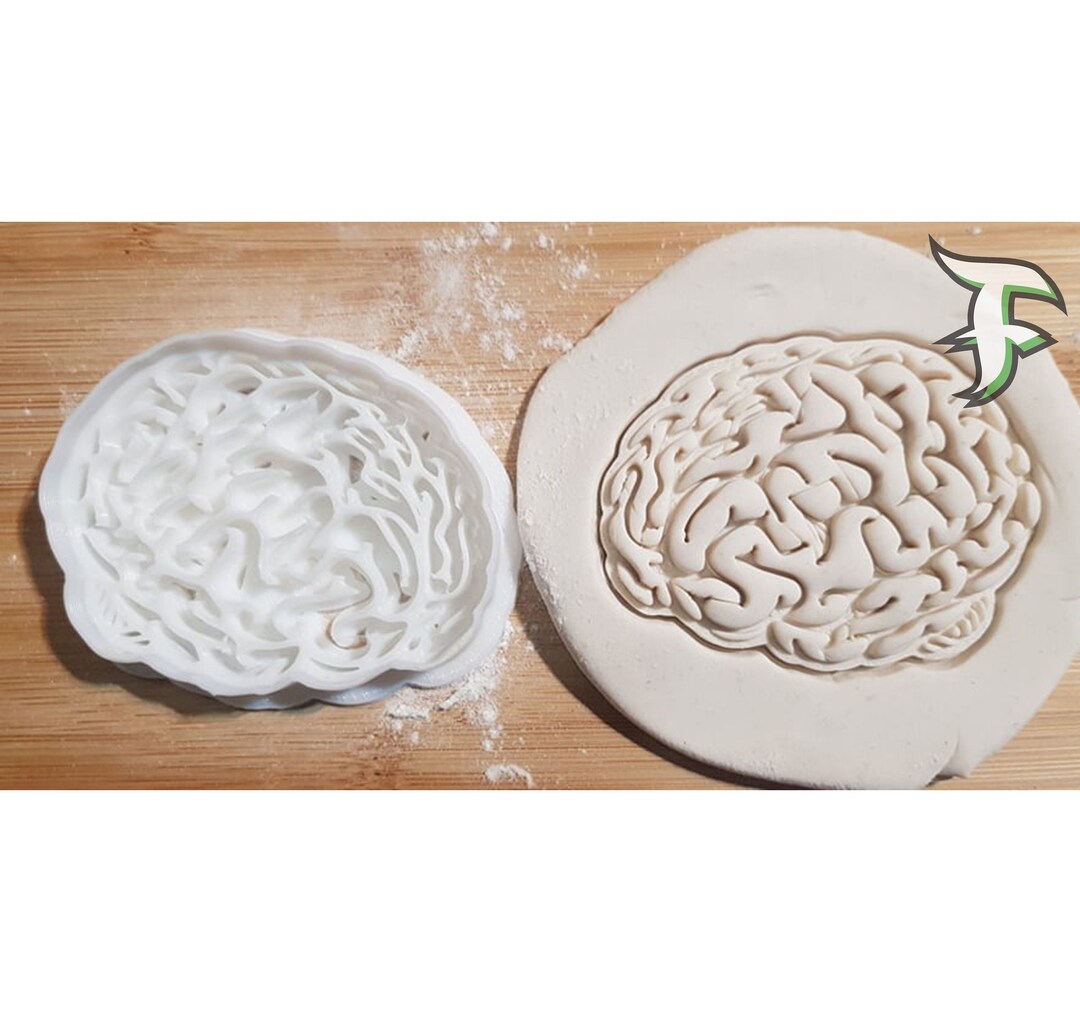 Science Cookie Cutter Human Brain Organ Fun Birthday Cookies, Clay ...