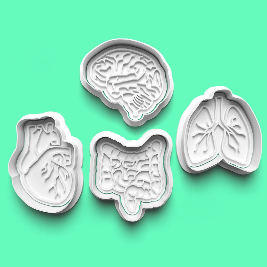 Cookie Cutter and Fondant Stamp, Body Organs Brain Lung Heart Science ...