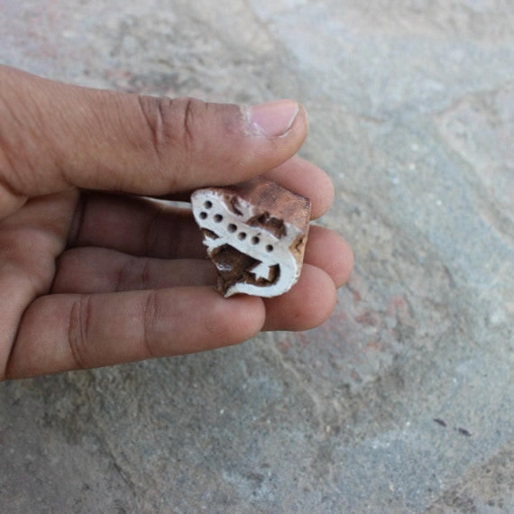 Lizard Block Print Stamp Hand Carved Wooden Stamp Reptiles - Etsy