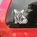 Corgi Decal Sugar Skull Corgi Decal Corgi Sticker Corgi - Etsy