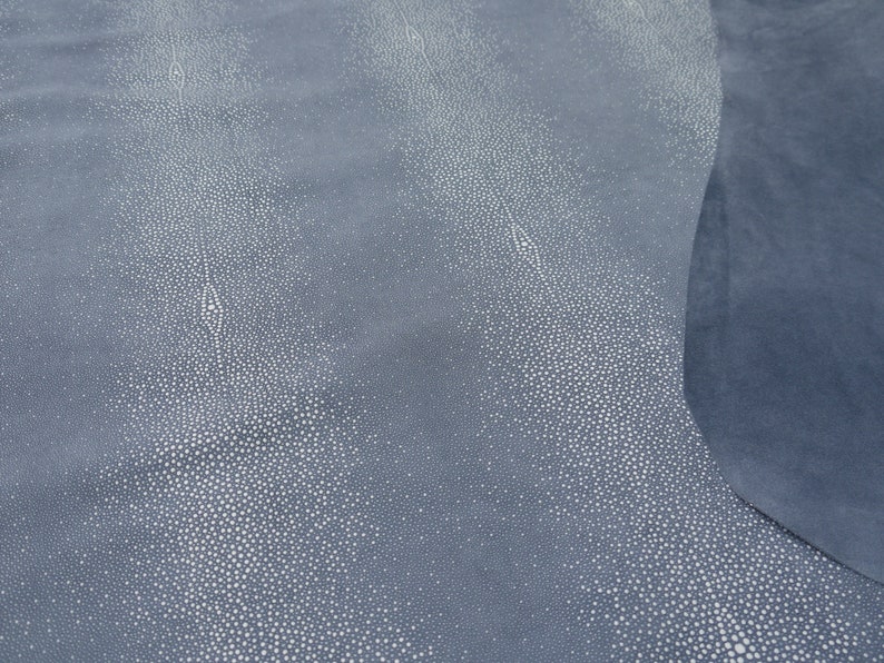 Stingray Embossed Leather Hide Top Quality 16.5 Square Feet Blue/white ...