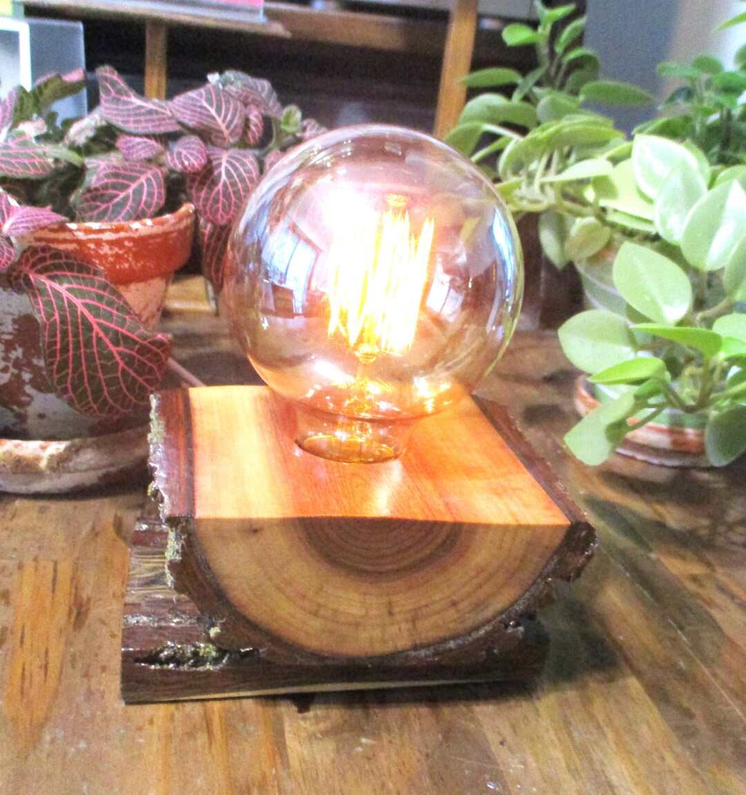 W-35 Amazing Black Walnut Lamp With Bark Made From a Branch, Featuring ...