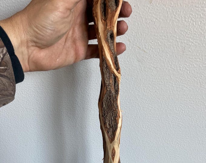 65" Diamond Willow (YOU CARVE Trekking Stick) Wood CARVING, Walking ...