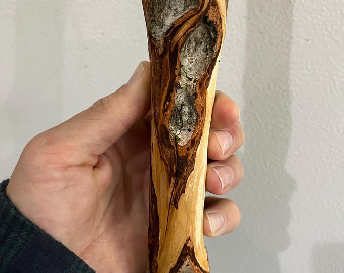 53" Diamond Willow (you CARVE BEAUTIFUL) Staff, Wood CARVING Blank ...