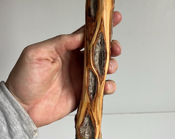 70 Diamond Willow COUPLE of Trekkingsticks You CARVE, Walking Stick ...