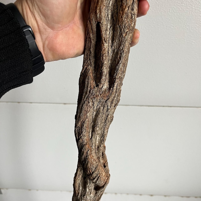 Vine Wood Walking Stick - Etsy