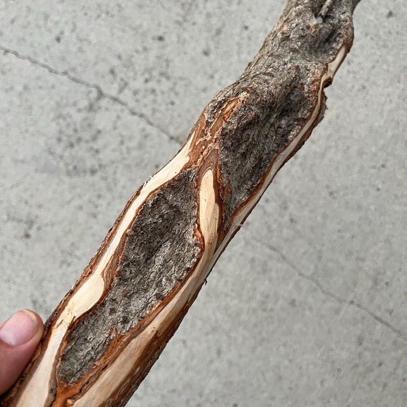 Wood Staff - Etsy