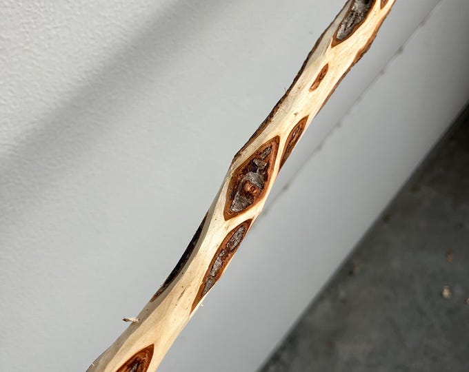 54" Diamond Willow (AWESOME PATTERNS) Trekking Pole, Wood CARVING Blank ...